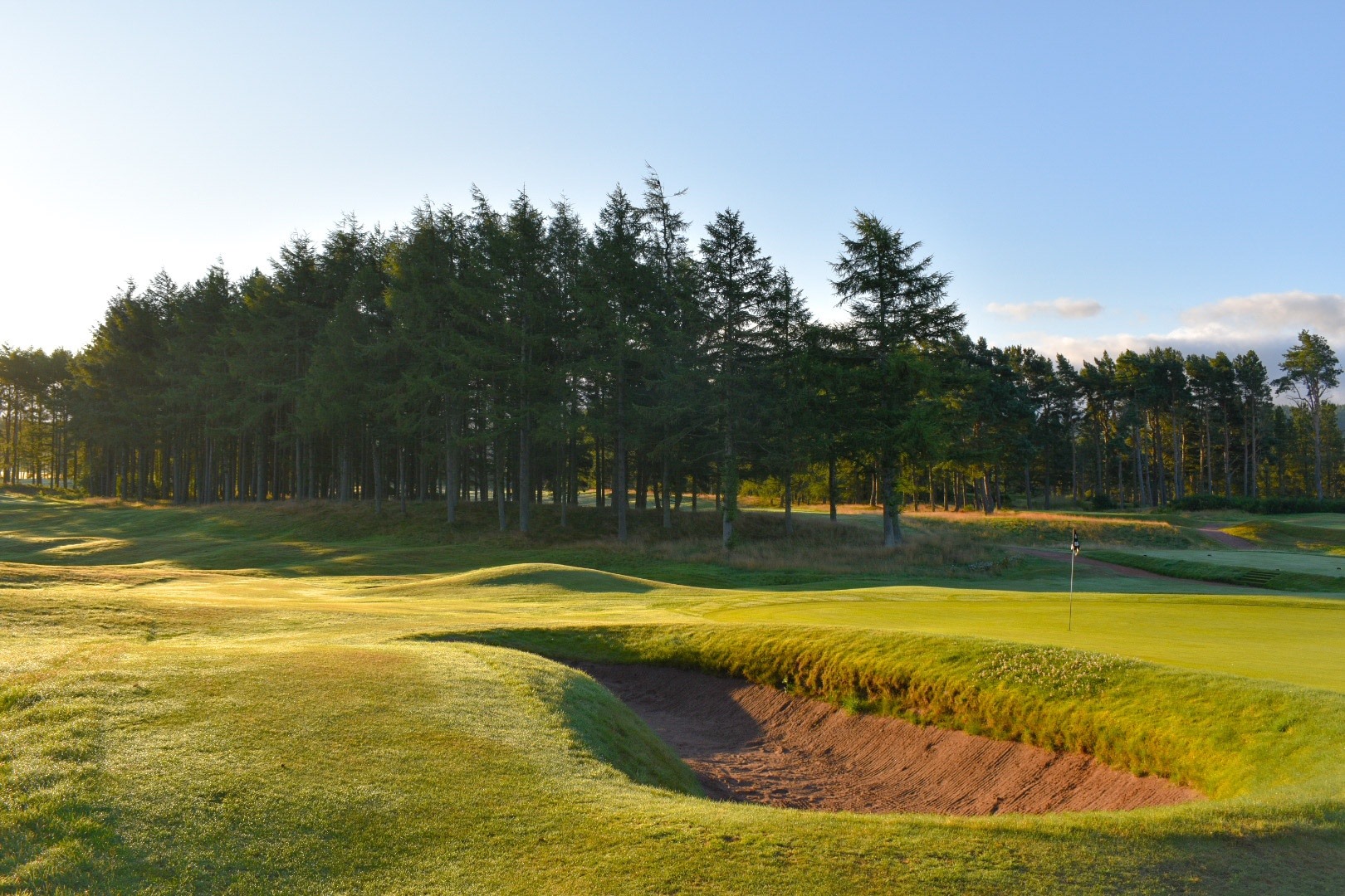 Membership - Forfar Golf Club