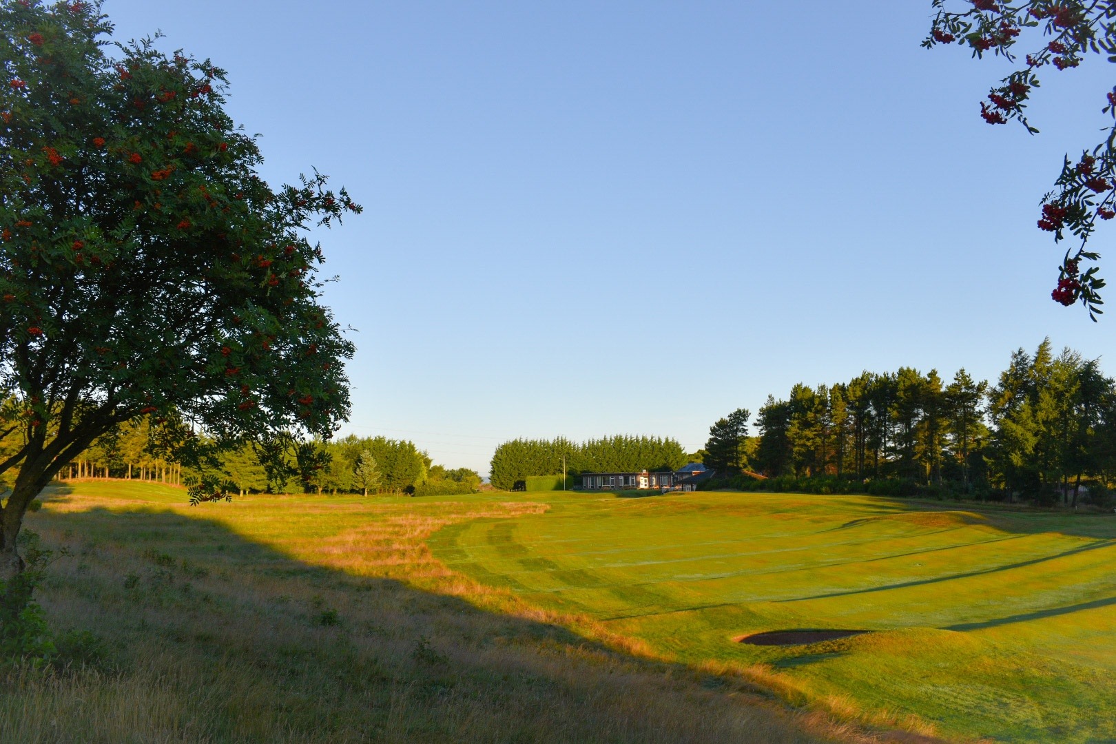 Membership - Forfar Golf Club
