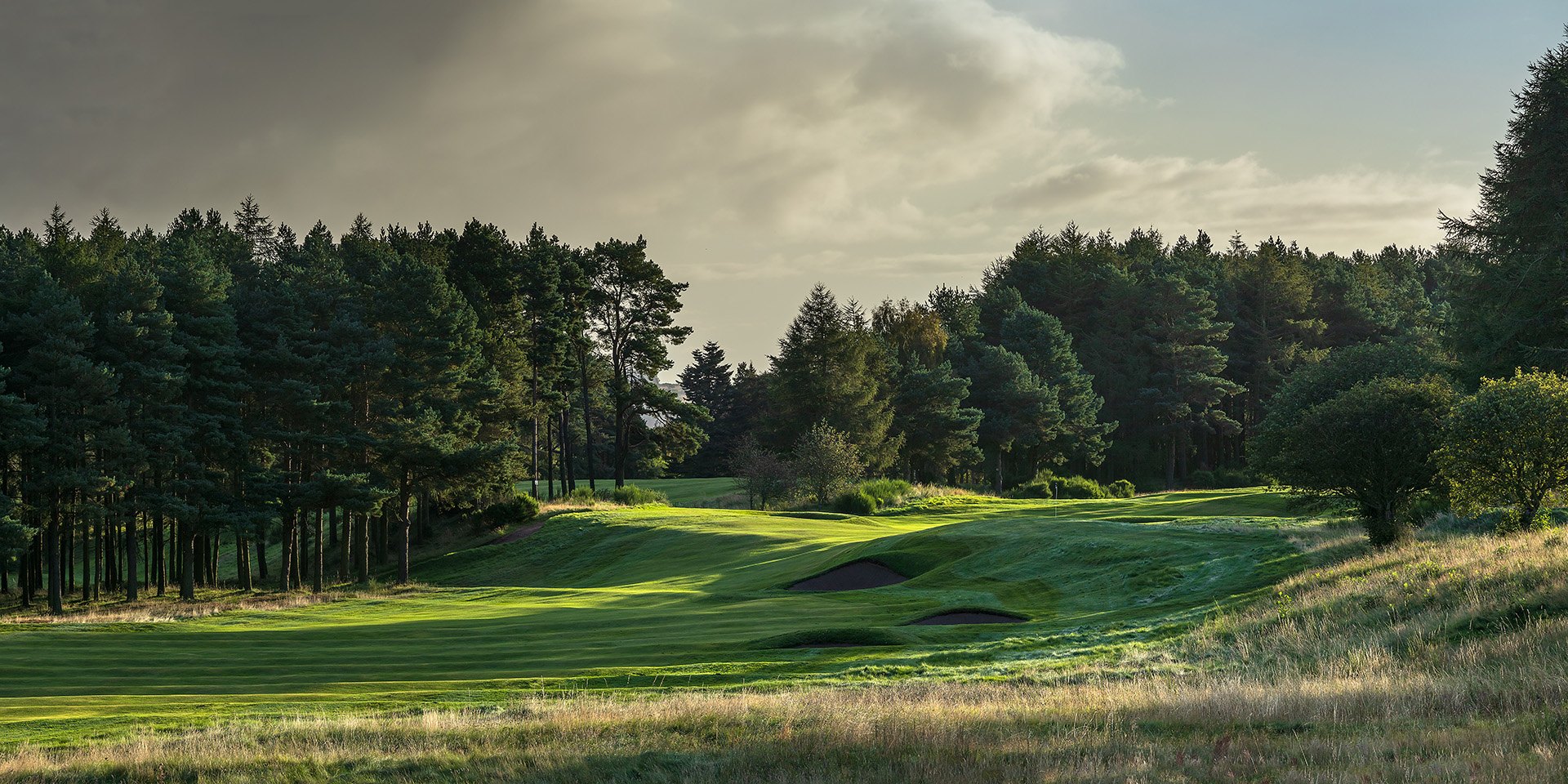Membership - Forfar Golf Club